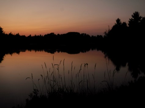 Hiawatha National Forest | Raven About The Parks