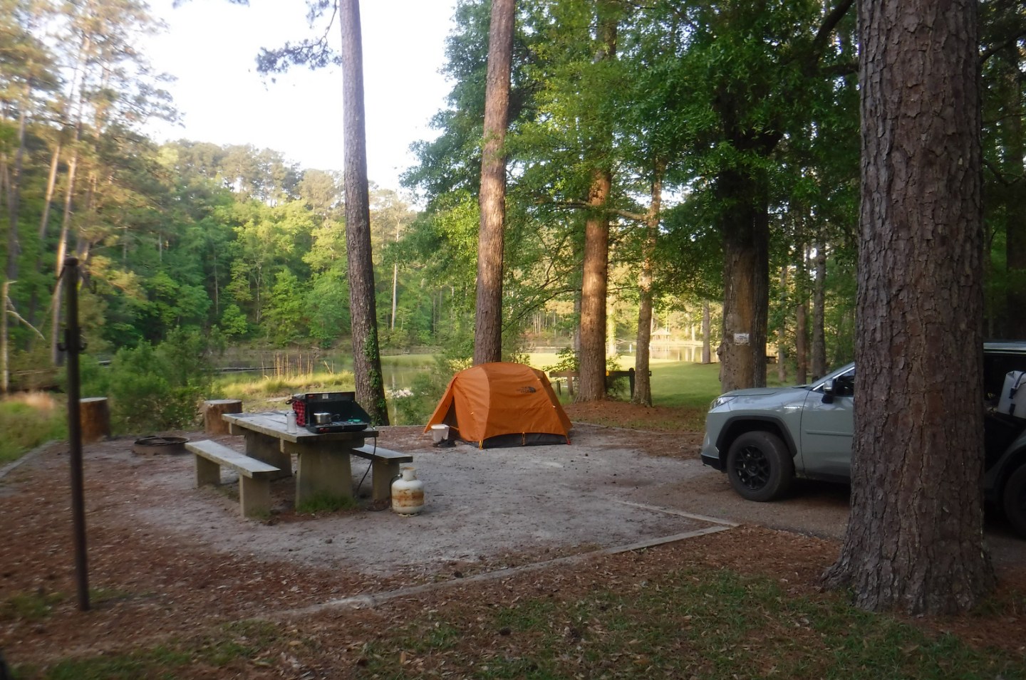 Homochitto National Forest | Raven About The Parks