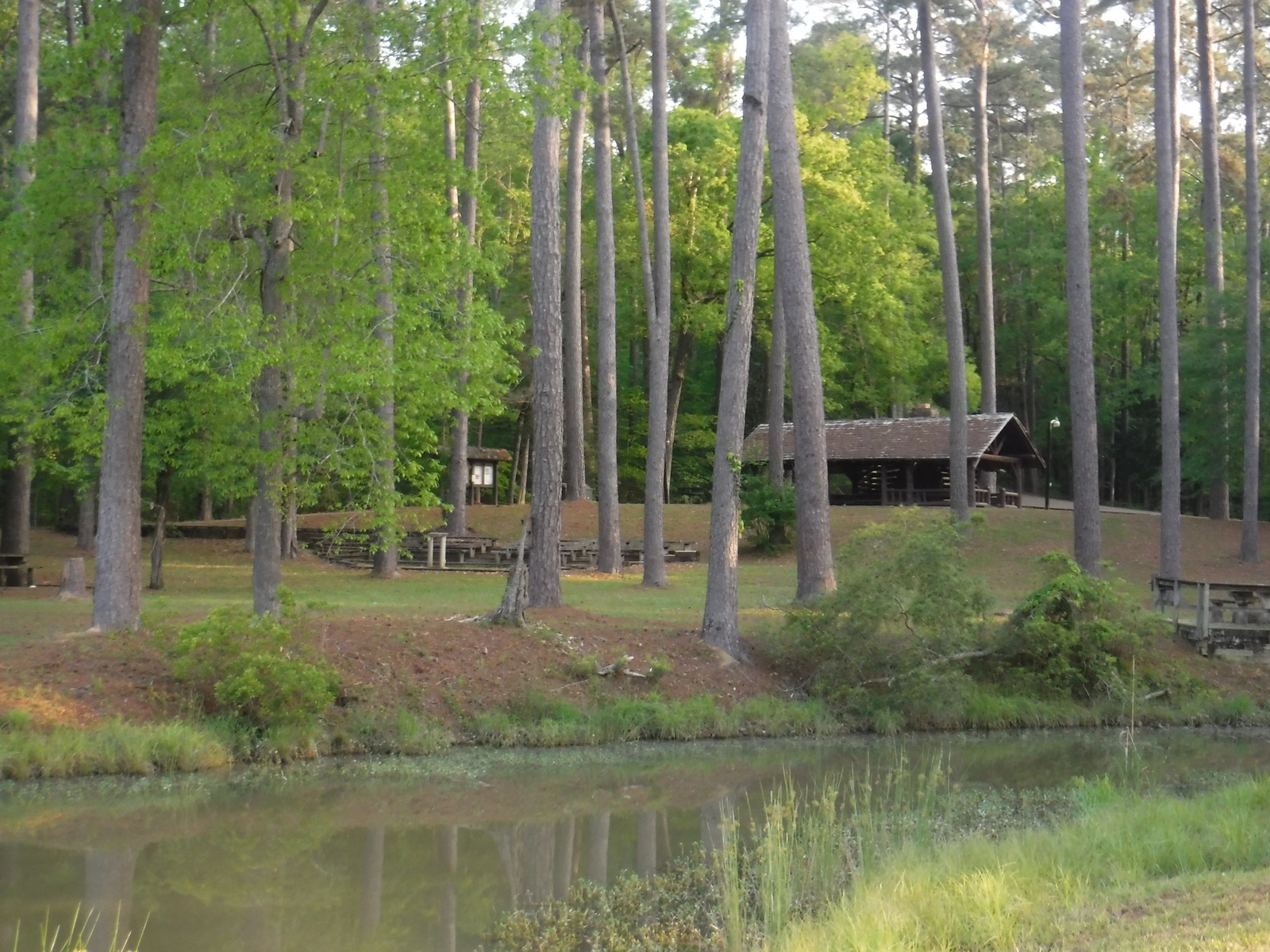 Homochitto National Forest