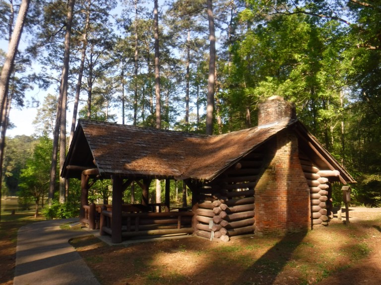 Homochitto National Forest | Raven About The Parks