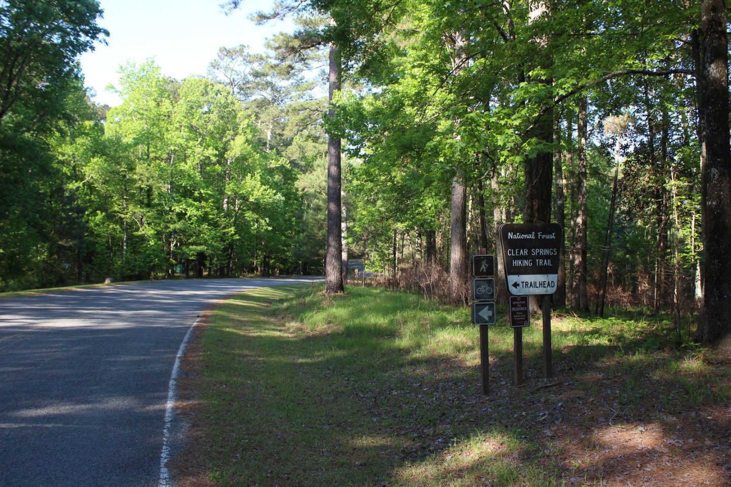Homochitto National Forest | Raven About The Parks