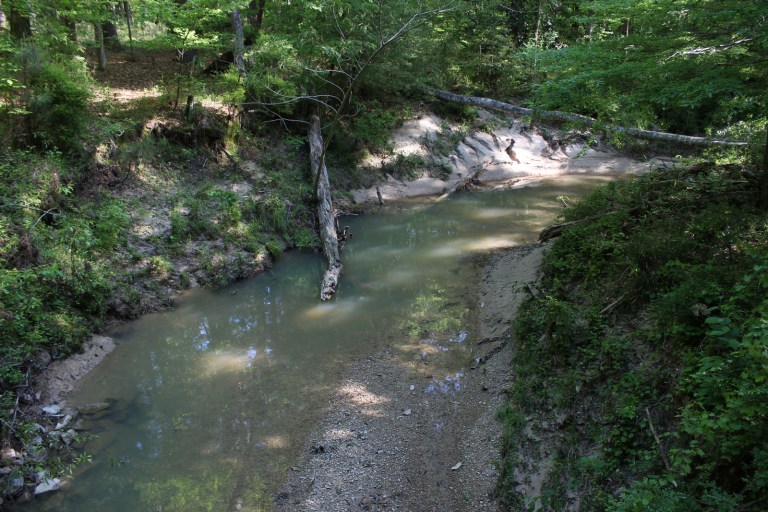 Homochitto National Forest | Raven About The Parks
