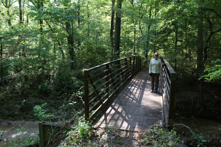 Homochitto National Forest | Raven About The Parks