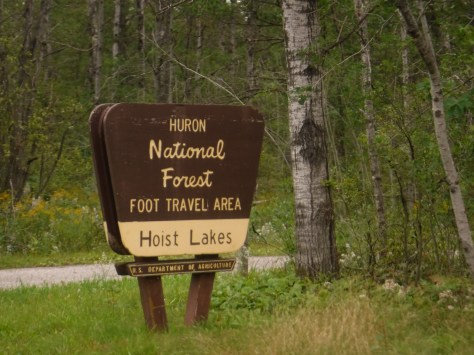 Huron National Forest | Raven About The Parks