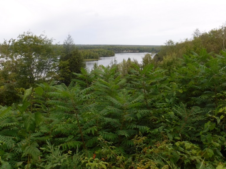 Huron National Forest | Raven About The Parks
