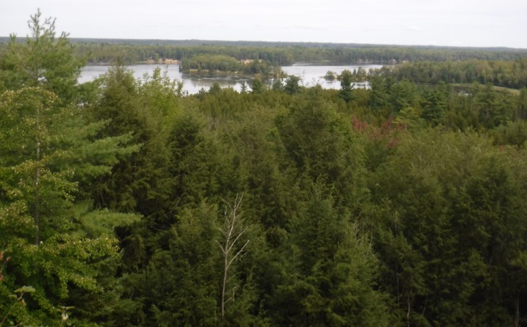 Huron National Forest | Raven About The Parks