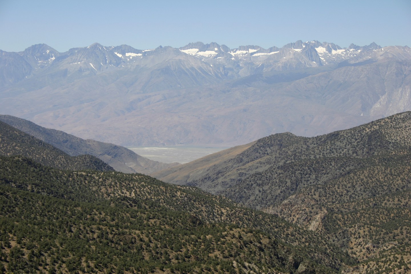 Inyo National Forest | Raven About The Parks