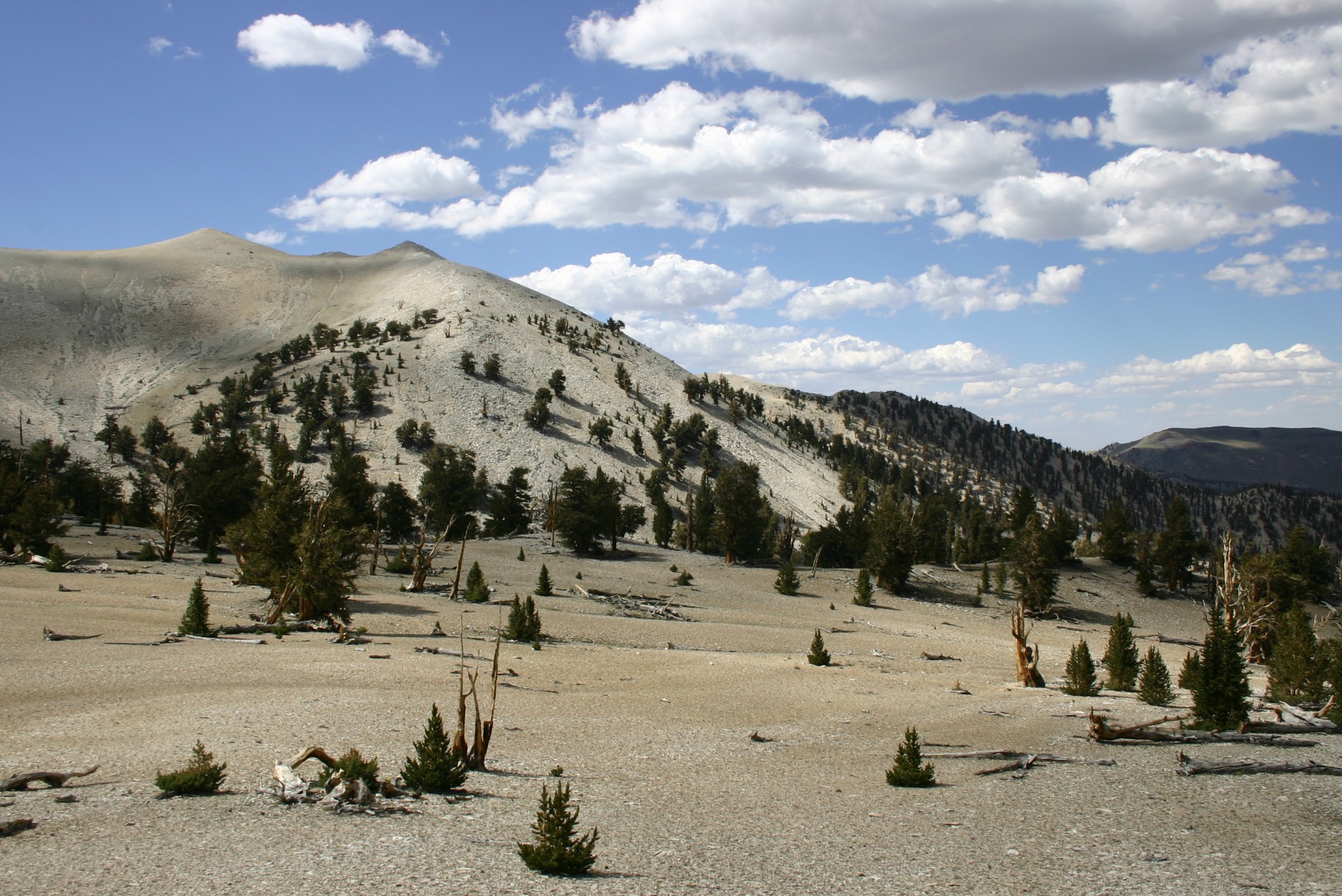 Inyo National Forest | Raven About The Parks
