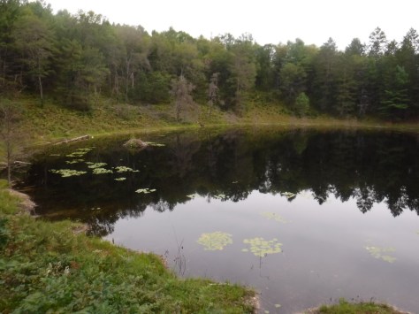Huron National Forest | Raven About The Parks