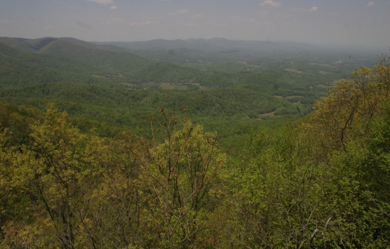 Jefferson National Forest | Raven About The Parks