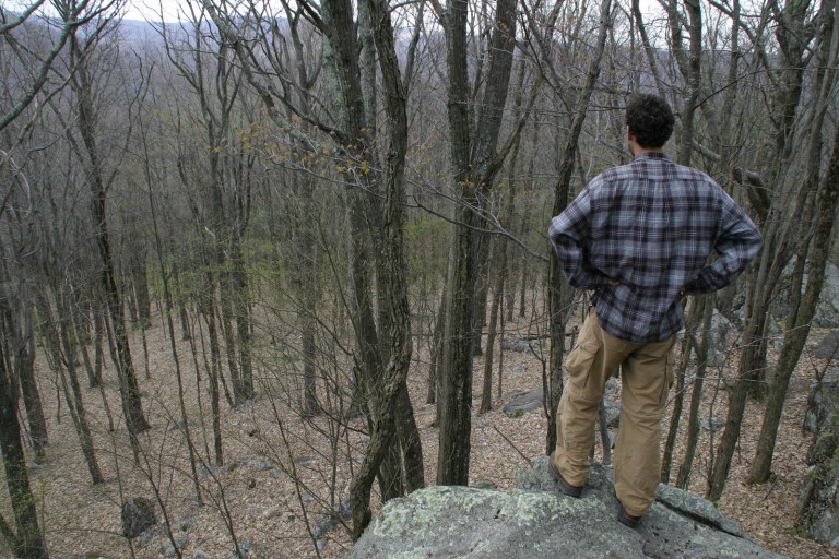 Jefferson National Forest | Raven About The Parks