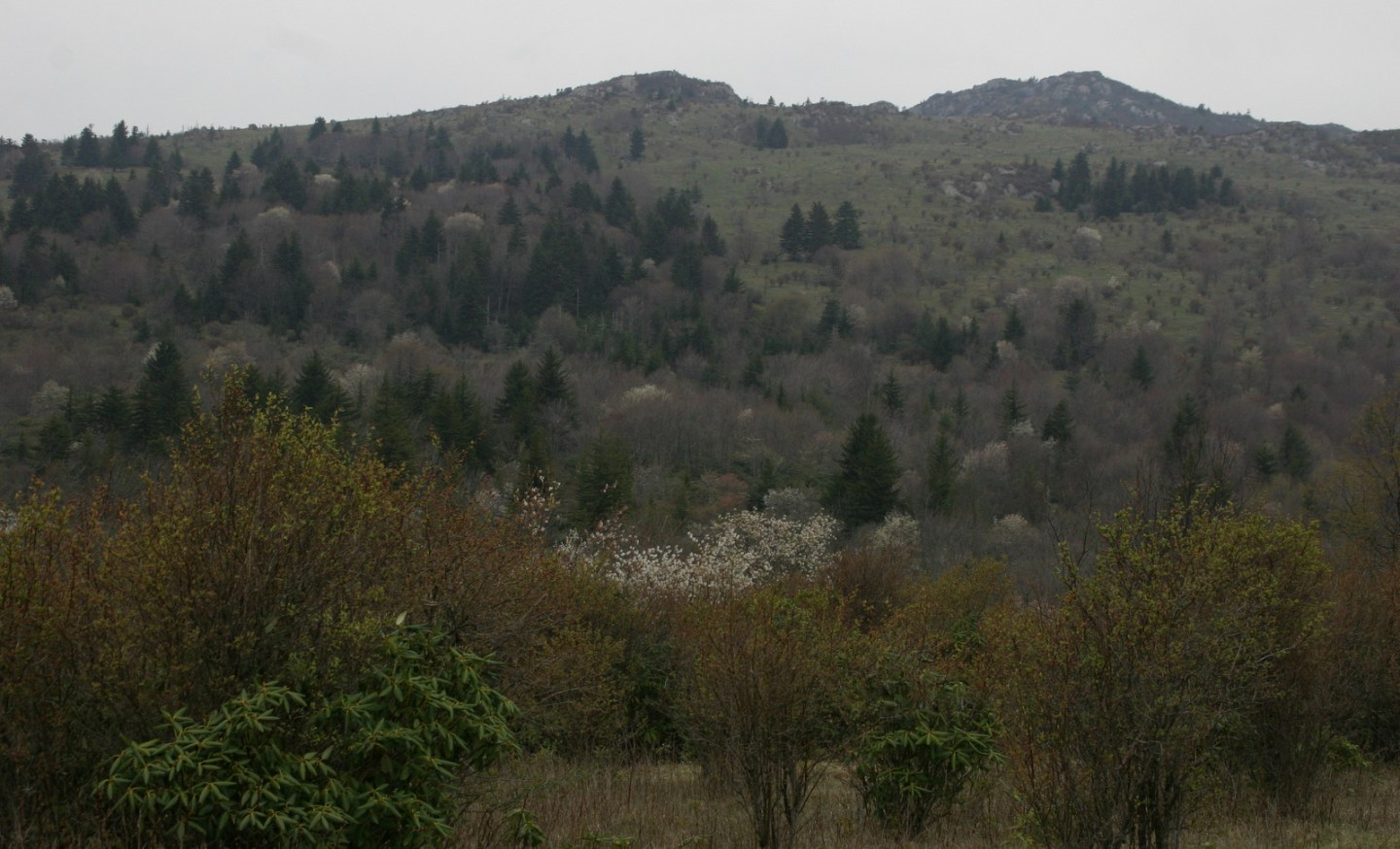 Mt. Rogers National Recreation Area | Raven About The Parks
