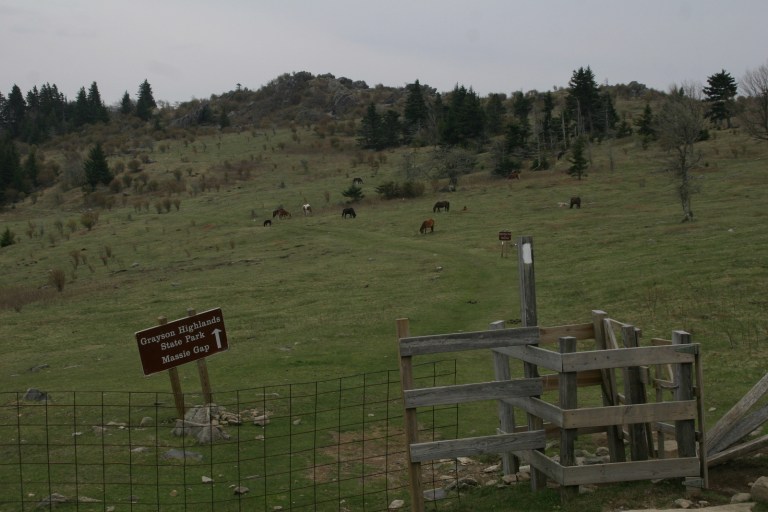 Mt. Rogers National Recreation Area | Raven About The Parks