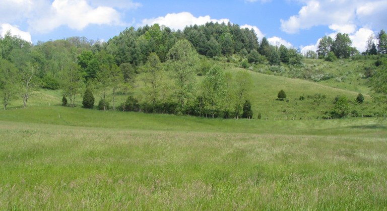 Jefferson National Forest | Raven About The Parks