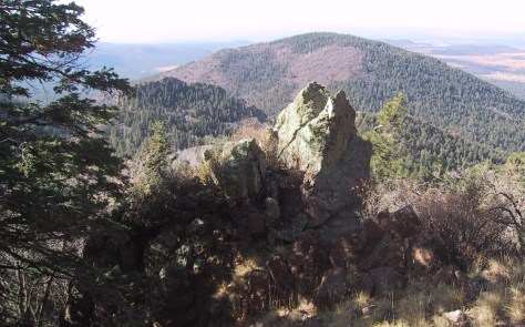 Kaibab National Forest | Raven About The Parks