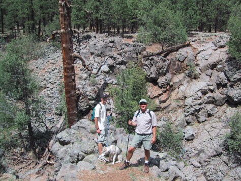 Kaibab National Forest | Raven About The Parks