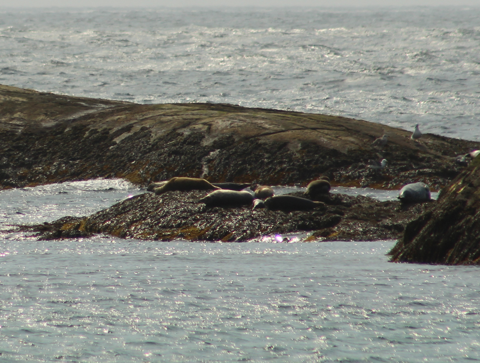 Rhode Island Road Trip Itinerary | Raven About The Parks