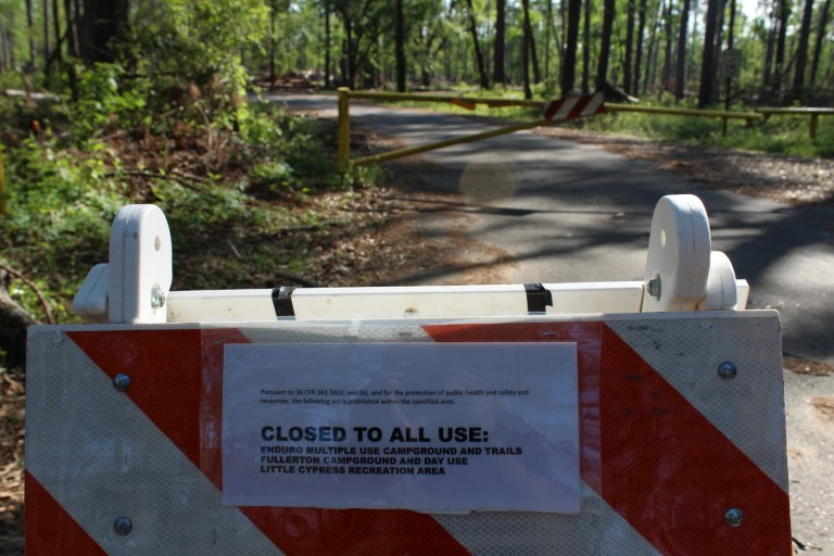 Kisatchie National Forest | Raven About The Parks