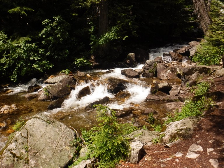 Kaniksu National Forest | Raven About The Parks