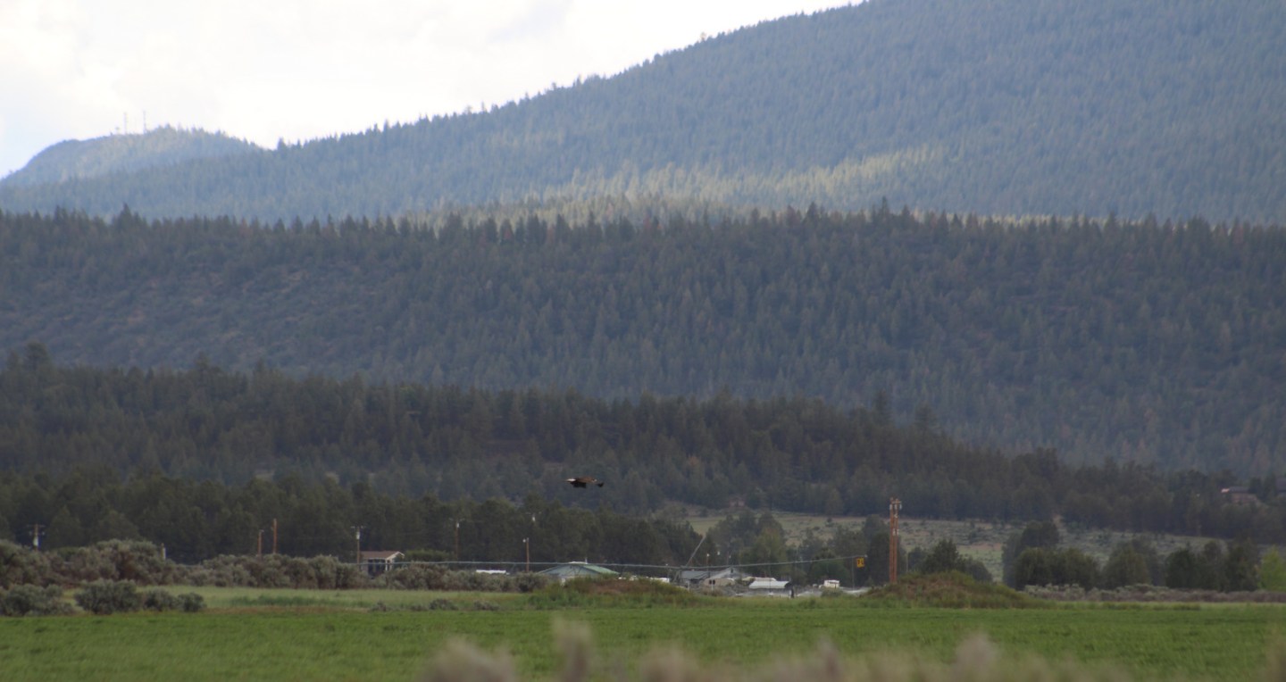 Butte Valley National Grassland | Raven About The Parks