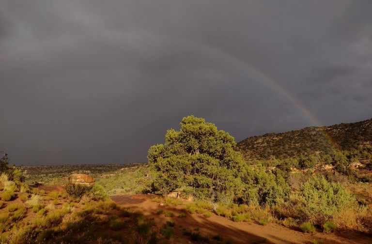 Bears Ears National Monument | Raven About The Parks