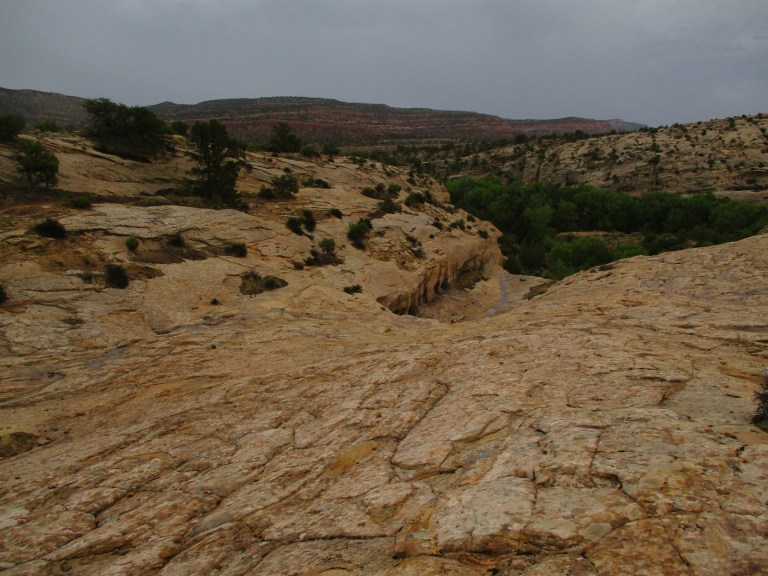 Bears Ears National Monument | Raven About The Parks