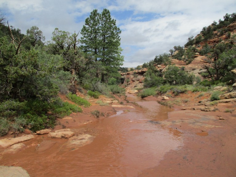 Bears Ears National Monument | Raven About The Parks
