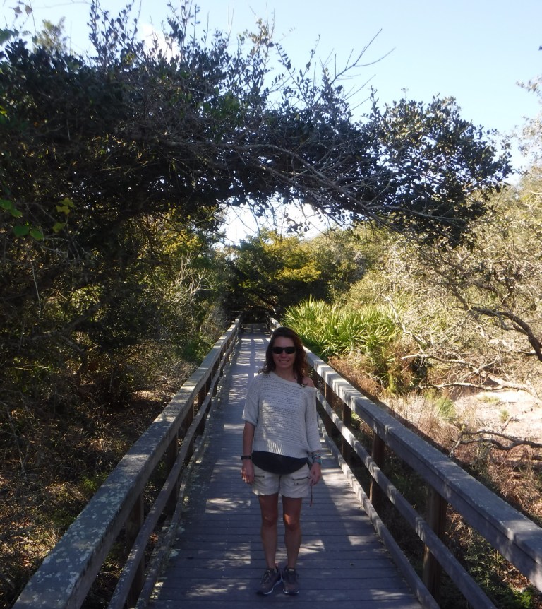 Florida | Raven About The Parks | Raven About The Forests