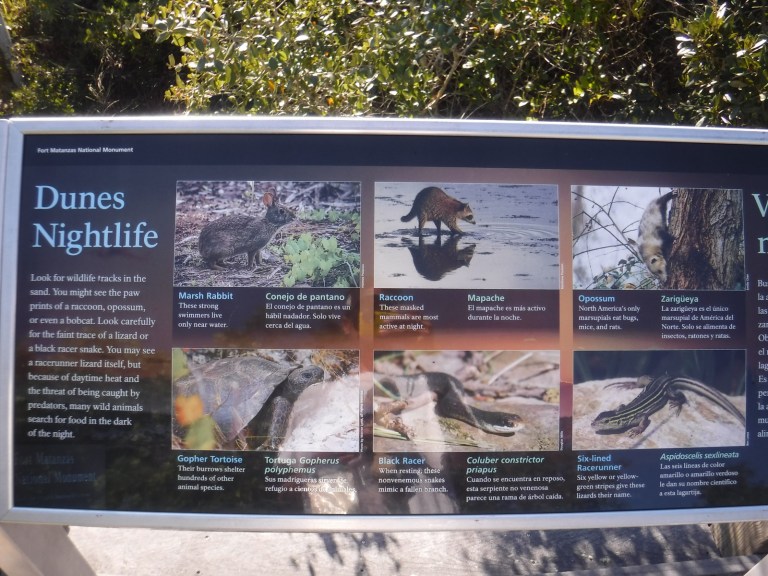 Fort Matanzas National Monument | Raven About The Parks