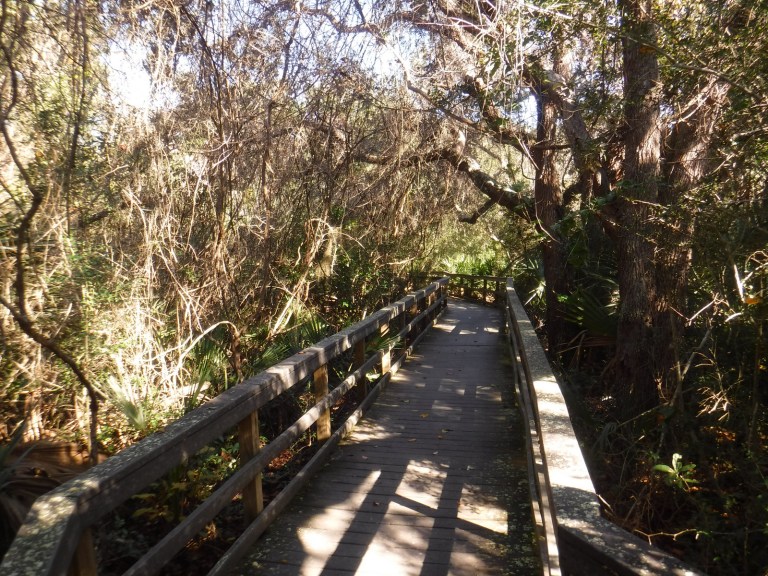 Florida | Raven About The Parks | Raven About The Forests