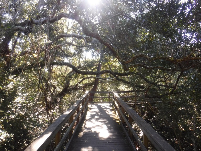 Fort Matanzas National Monument | Raven About The Parks