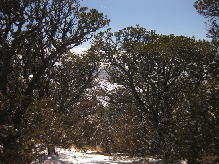 Capulin Volcano National Monument | Raven About The Parks