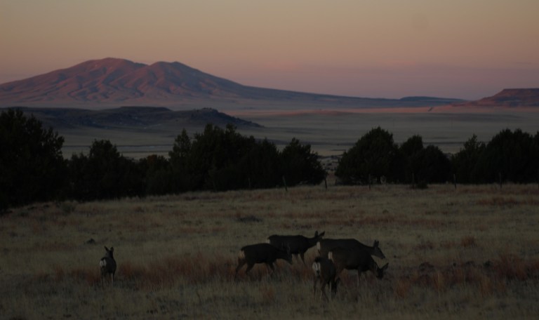 Capulin Volcano National Monument | Raven About The Parks