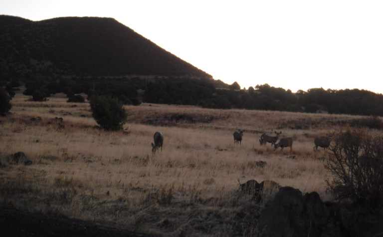 Capulin Volcano National Monument | Raven About The Parks