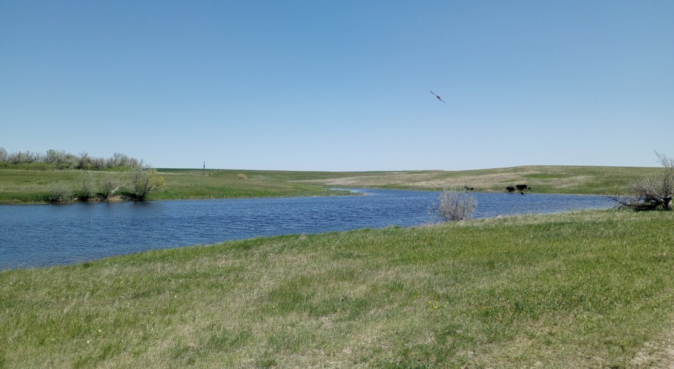 Buffalo Gap National Grassland | Raven About The Parks