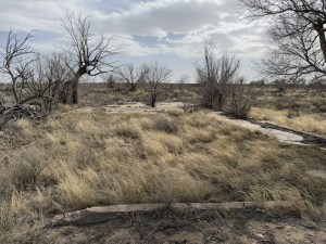 Amache National Historic Site | Raven About The Parks