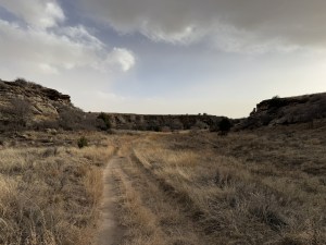 Comanche National Grassland | Raven About The Parks