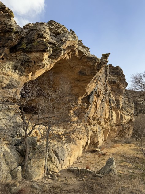Comanche National Grassland | Raven About The Parks