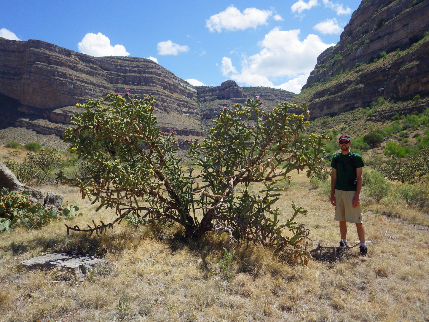 Lincoln National Forest | Raven About The Parks