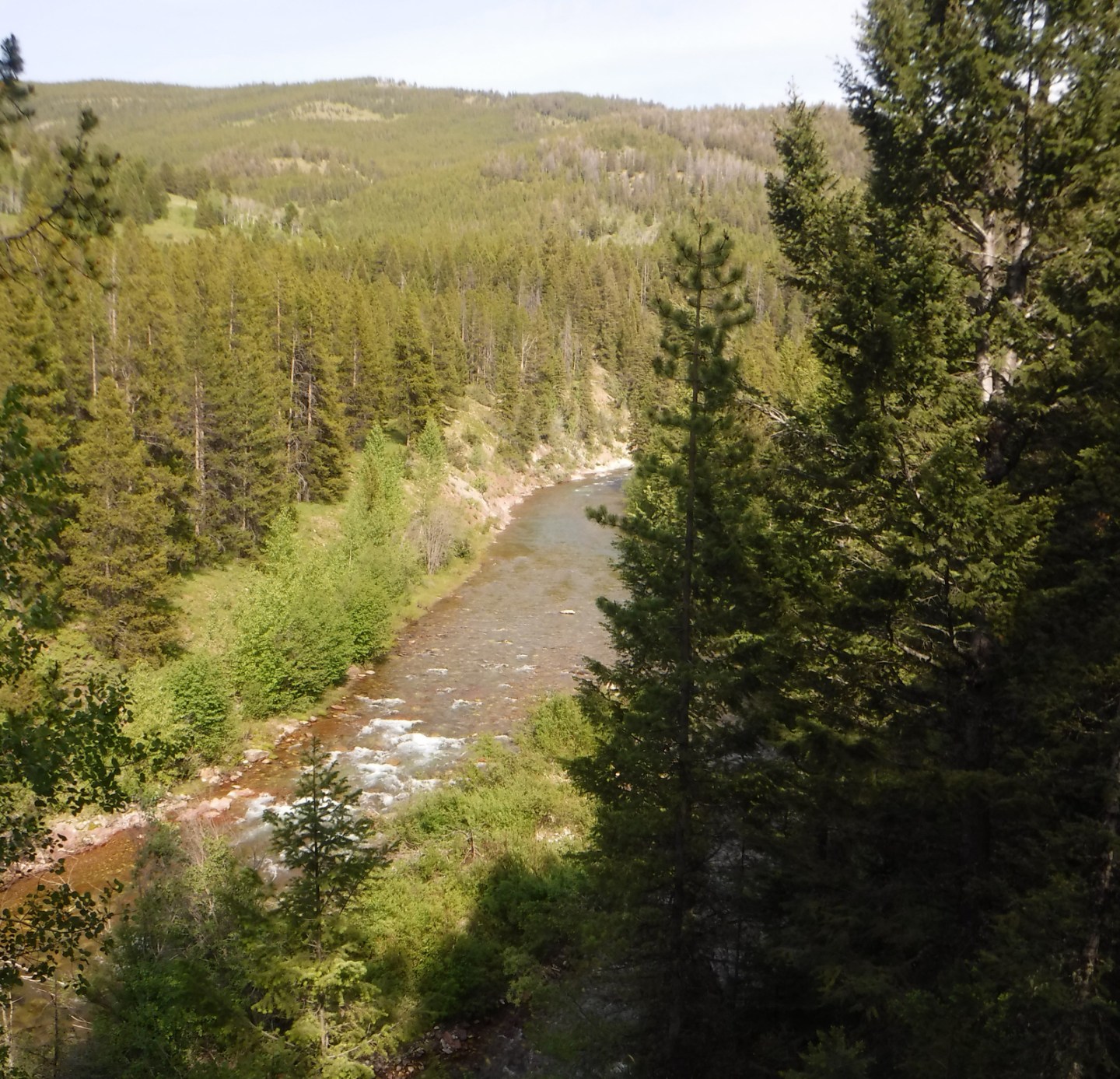 Lewis and Clark National Forest | Raven About The Parks