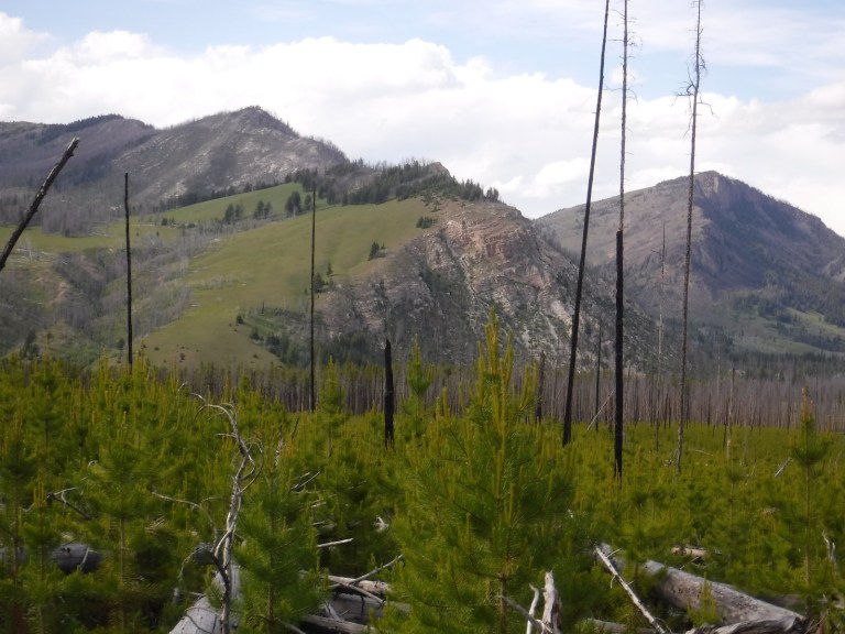 Lewis and Clark National Forest | Raven About The Parks