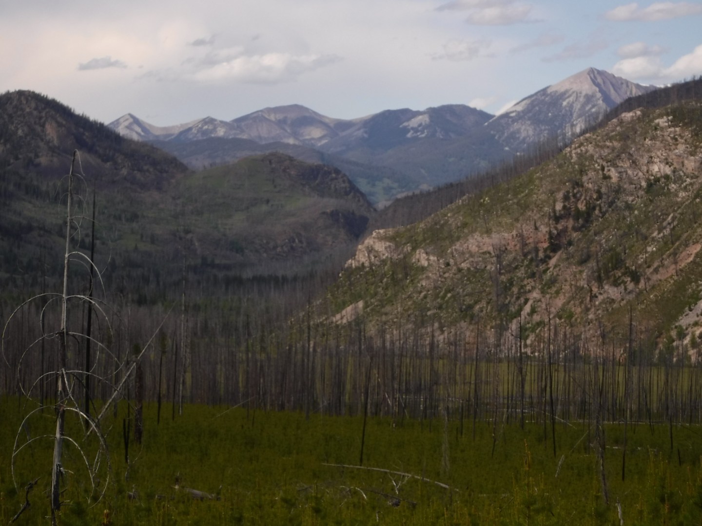 Lewis and Clark National Forest | Raven About The Parks
