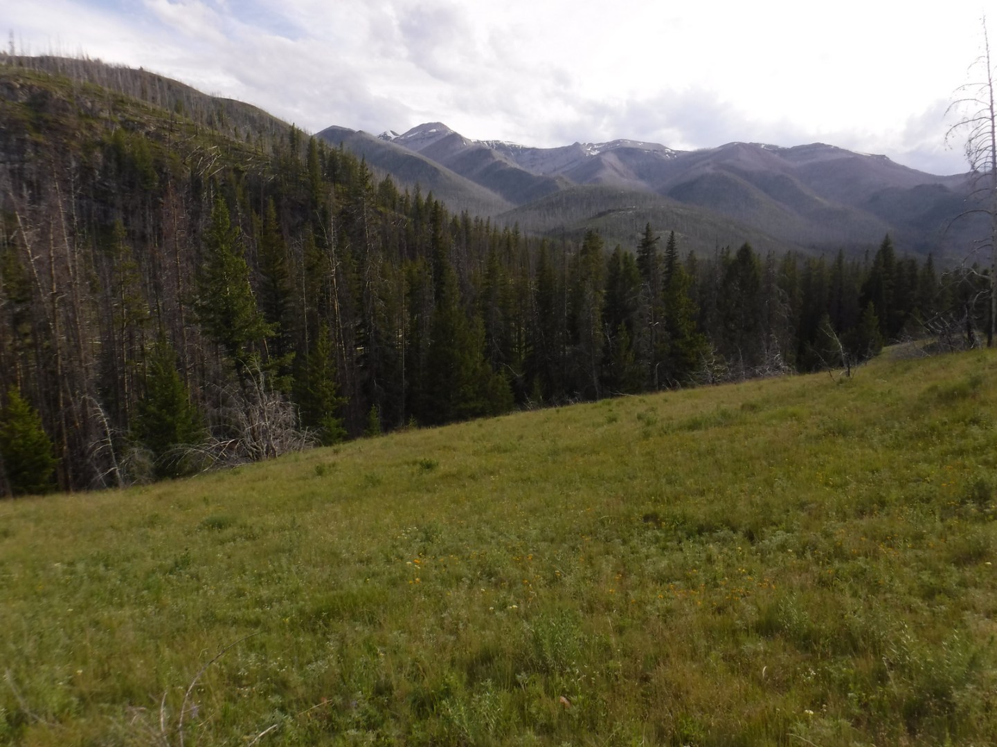 Lewis and Clark National Forest | Raven About The Parks