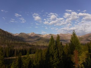 Raven About The Parks | Raven About The Forests | Start your U.S ...