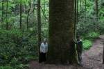 Top 10 National Forests for Day Hiking | Raven About The Parks