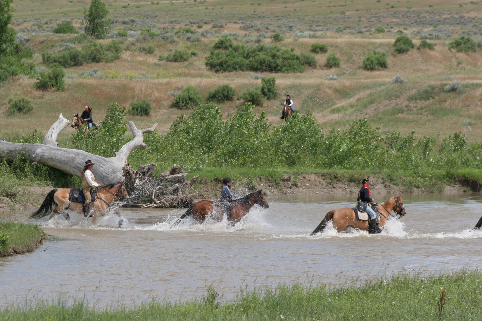 Montana Road Trip Itinerary | Raven About The Parks
