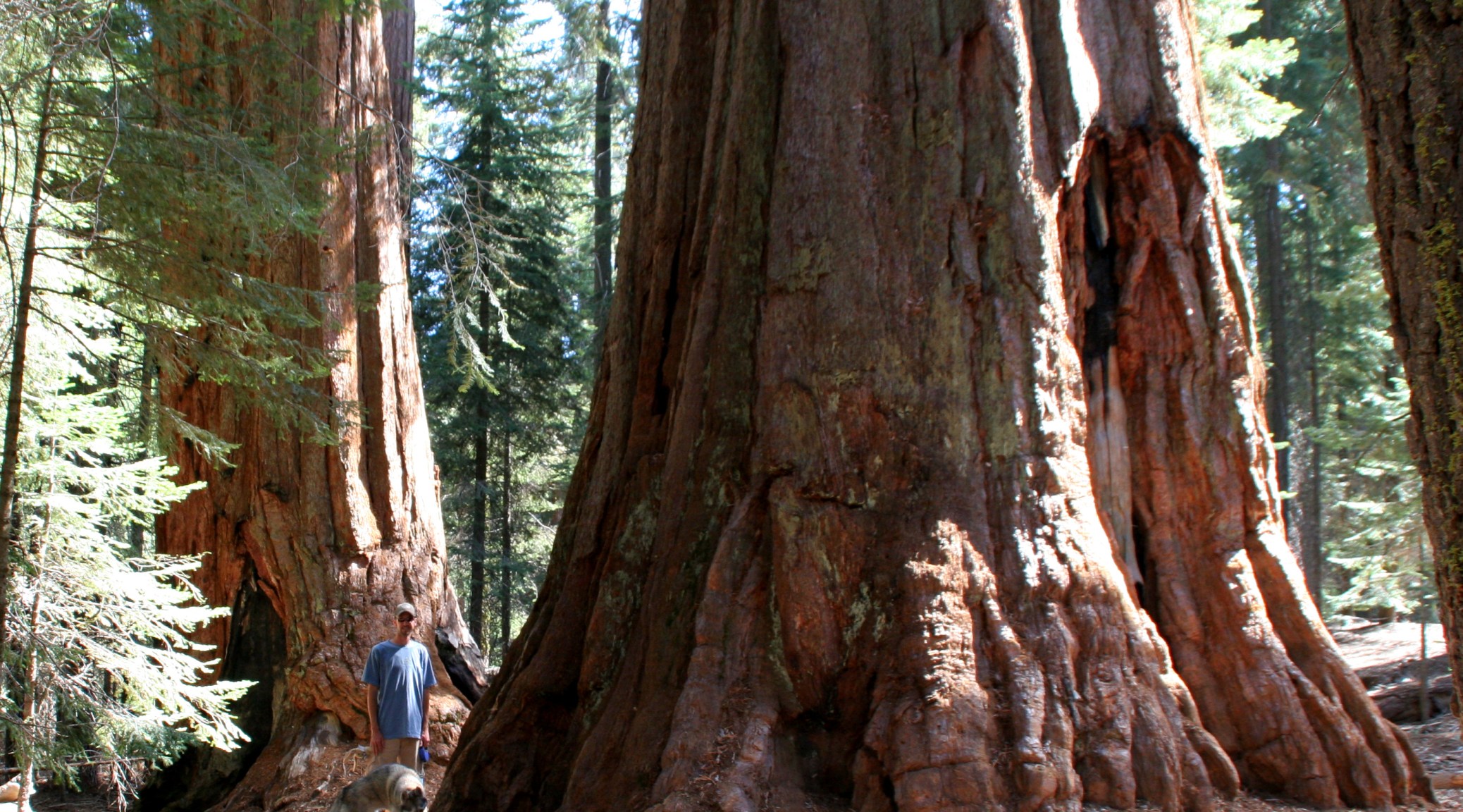 Top 10 National Monuments in National Forests | Raven About The Parks